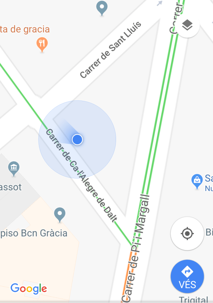 Arce plateado («Acer saccharinum») – Flora ornamental y biodiversidad ...