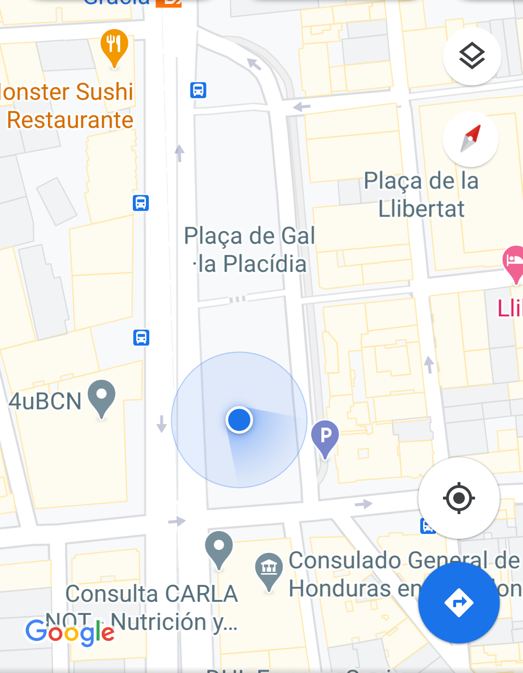 Fresno rojo americano (Fraxinus pennsylvanica) – Flora ornamental y ...