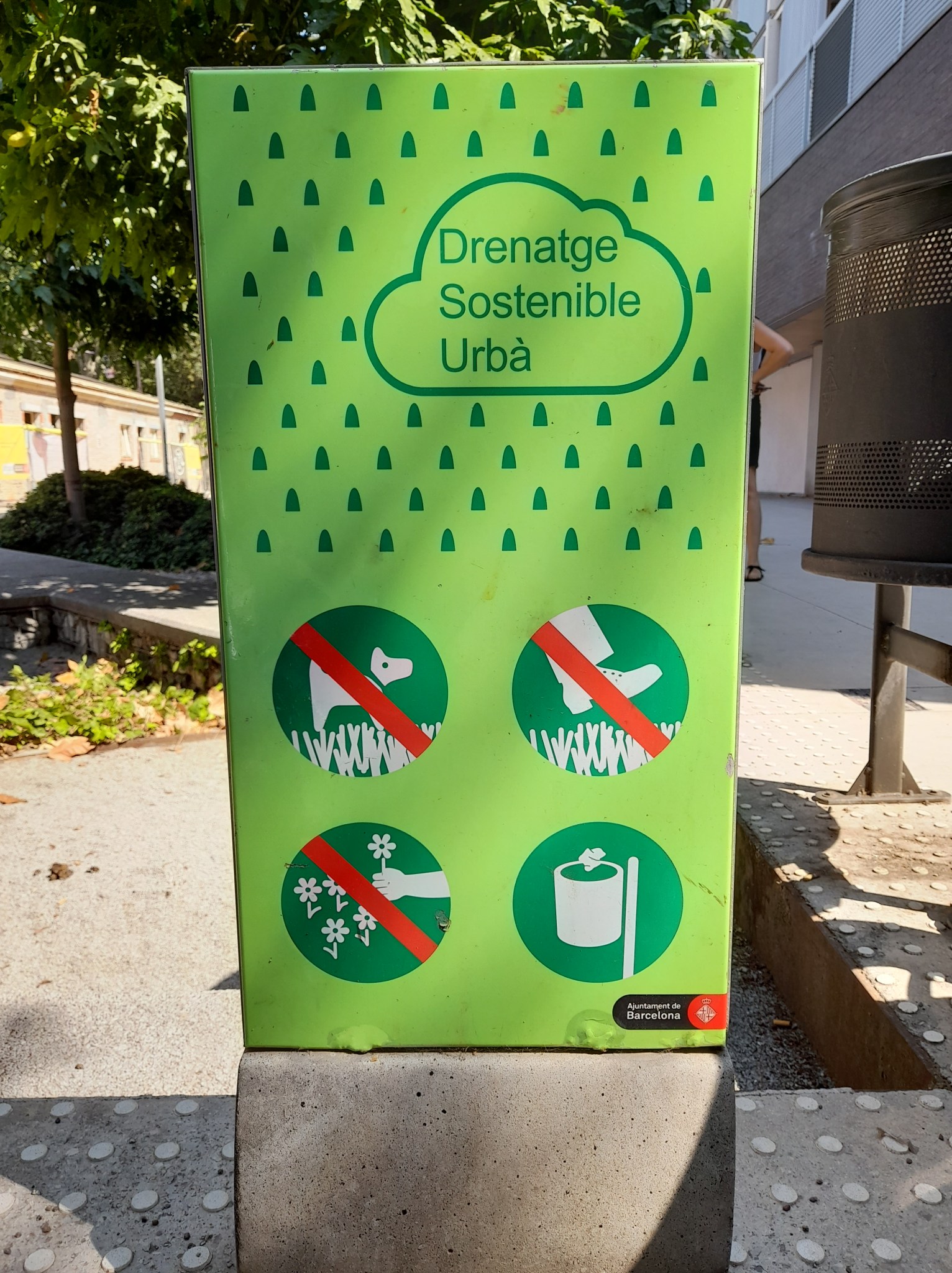 SUDS y especies vegetales de interés en el barrio del Bon Pastor: SUDS ...