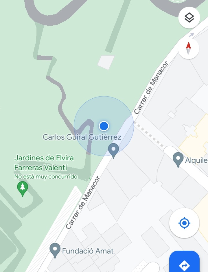 Acacia azulada (Acacia saligna) – Flora ornamental y biodiversidad de ...